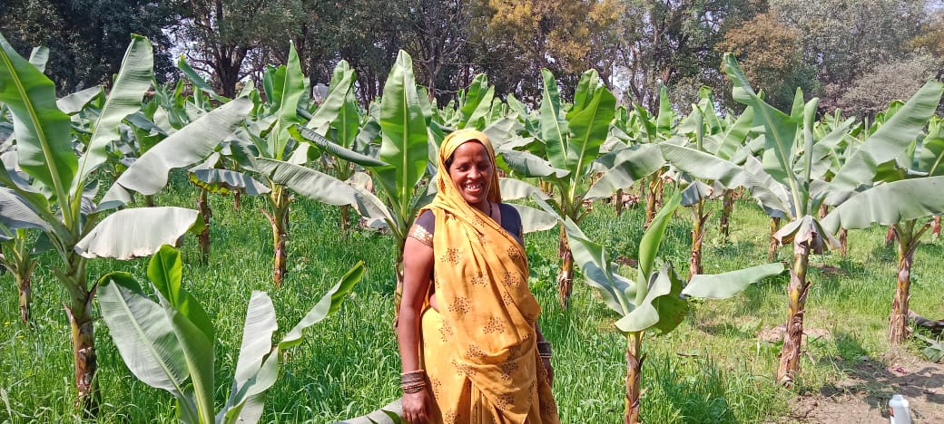 Thematic Areas – PANI